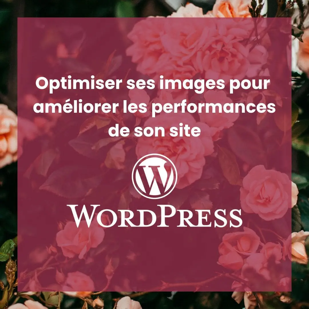 Optimiser ses images sur Wordpress - WP FORM · Créer son site internet avec WordPress ...
